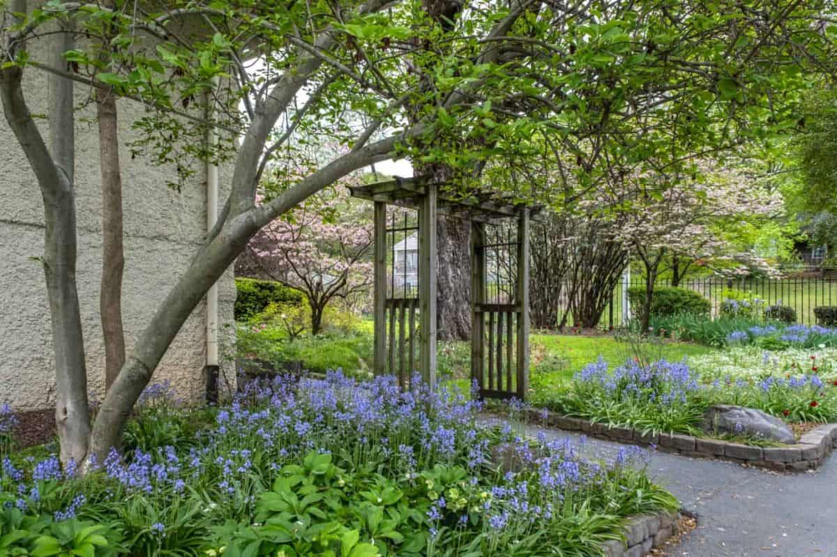 Racheff Gardens & Arboretum - Knox County Master Gardener